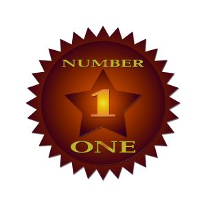 Will SEO actually help your business?